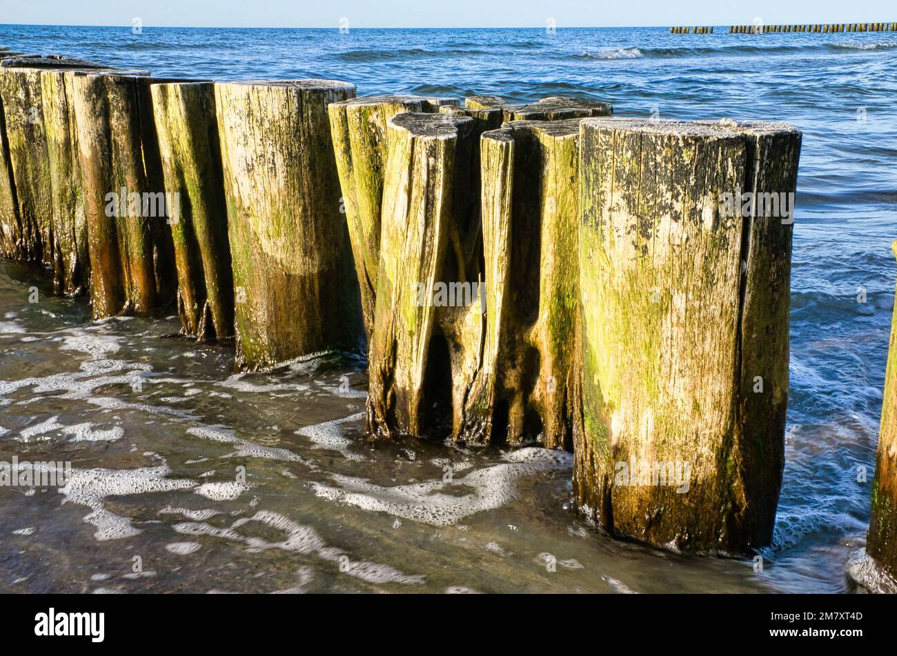 on the beach of the baltic sea in zingst. view of the sea with groyne ...