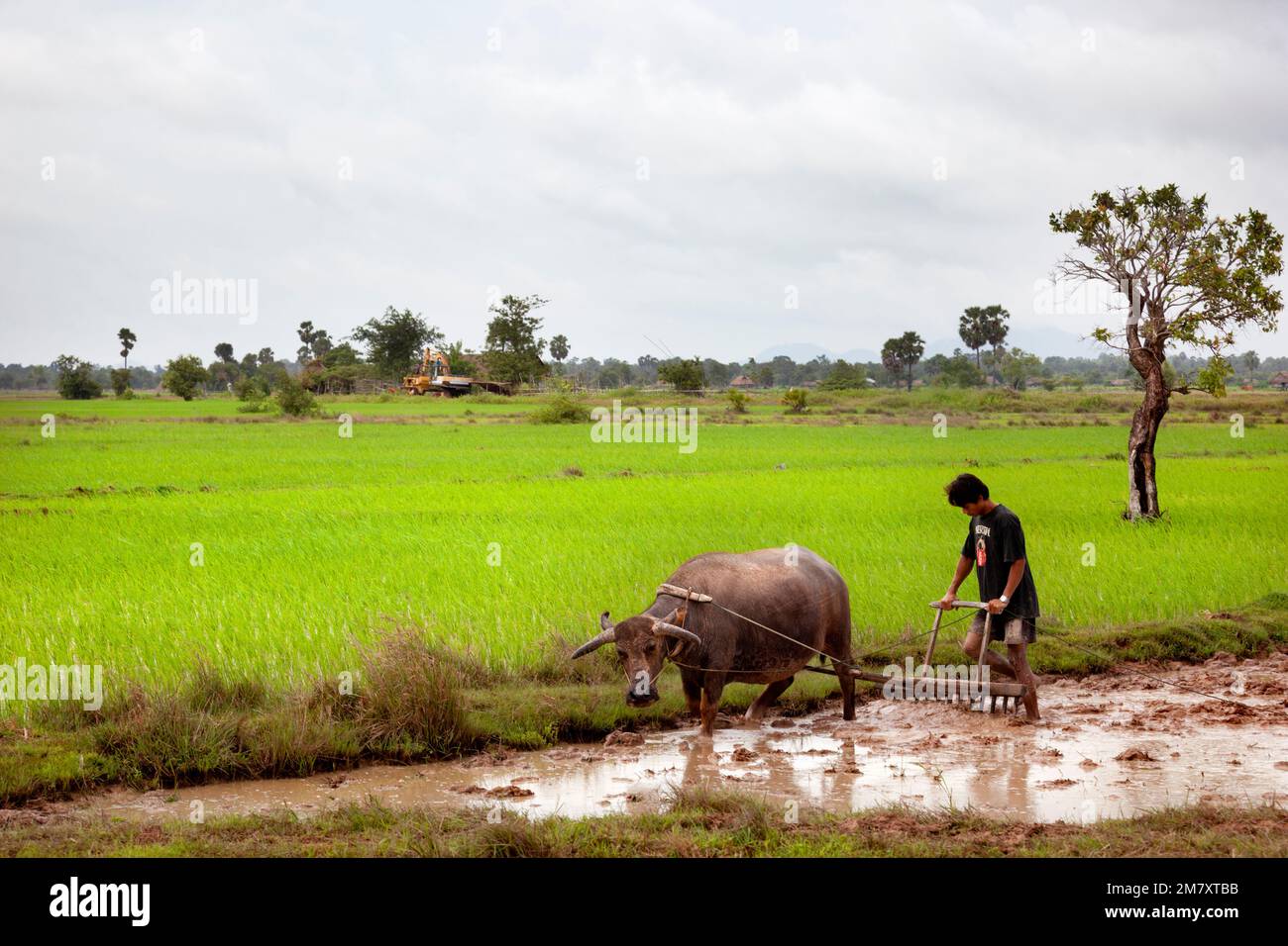Don Khon, Laos - July 31, 2009: Si Phan Don, also known as the four ...