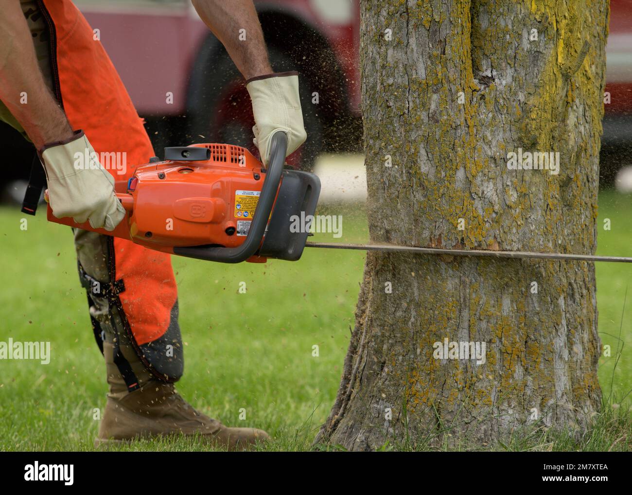Members of the 132d Civil Engineering Squadron are cutting down trees ...