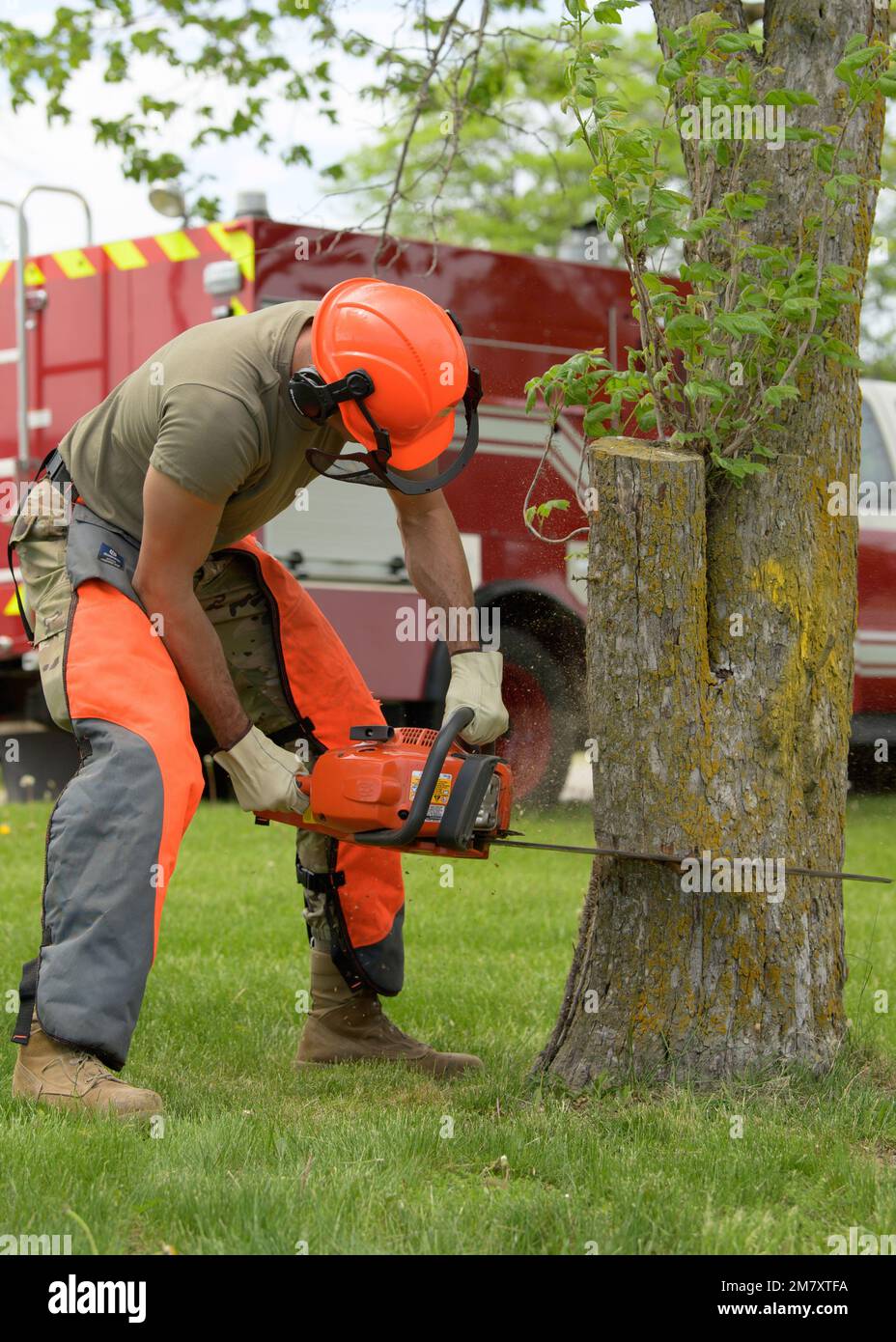 Members of the 132d Civil Engineering Squadron are cutting down trees ...