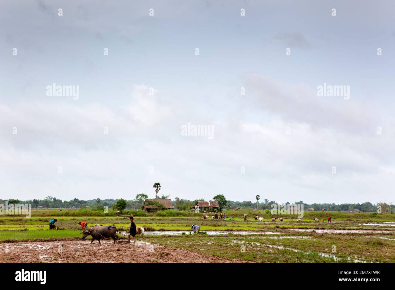 Don Khon, Laos - July 31, 2009: Si Phan Don, also known as the four ...