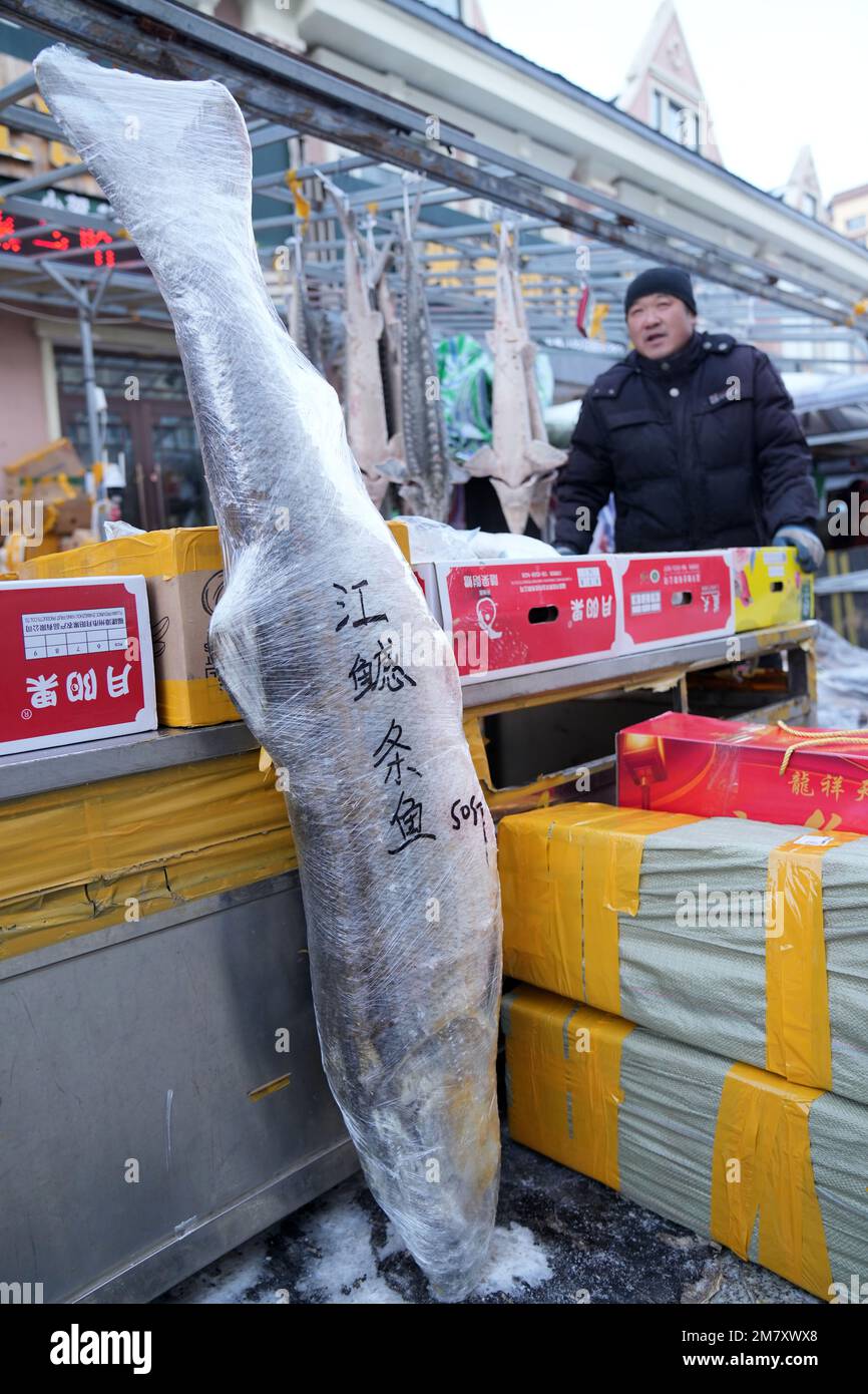 FUYUAN, Jan. 11, 2023 (Xinhua) -- A fishmonger sells a fish weighing 25 ...