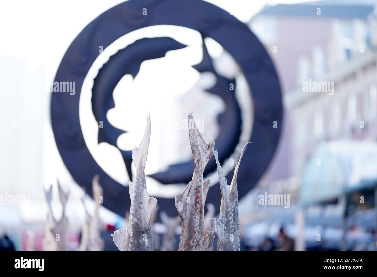 FUYUAN, Jan. 11, 2023 (Xinhua) -- Fish products are displayed at Dongji ...