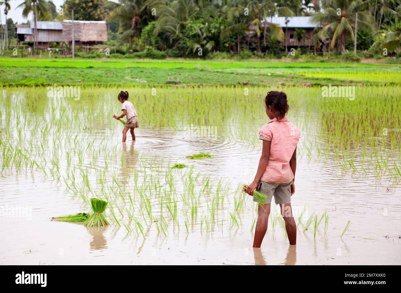 Village scene of farmer family hi-res stock photography and images - Alamy