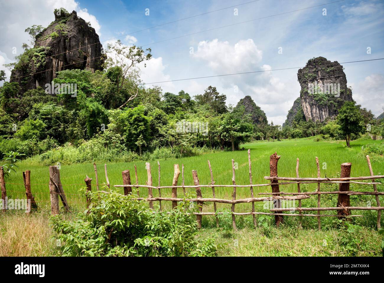 Landscape. Paddy with fence in Laos Stock Photo - Alamy