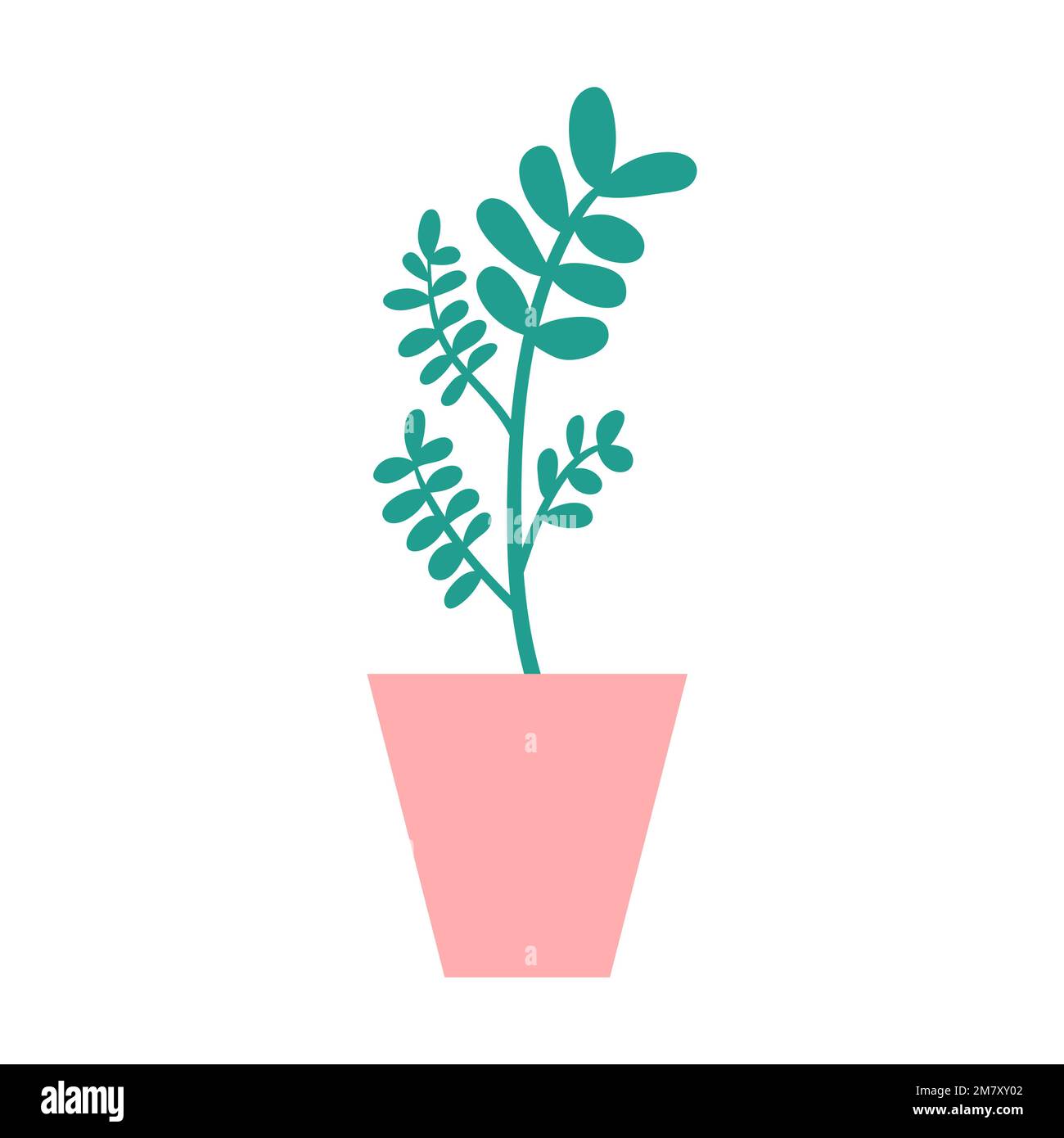 Money plant home decoration interior Stock Vector Images - Alamy