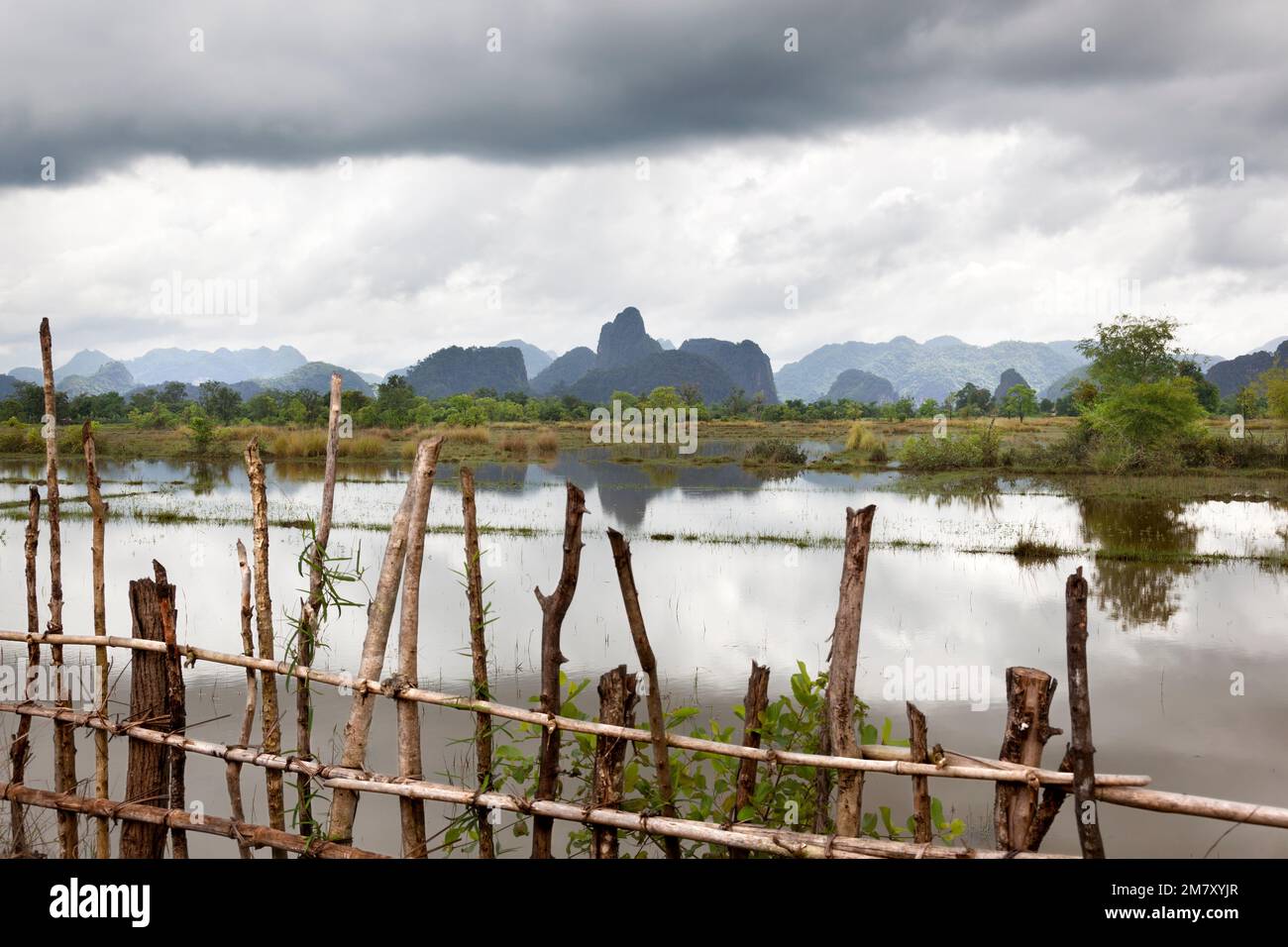 monsoon rains over a paddy in laos Stock Photo - Alamy