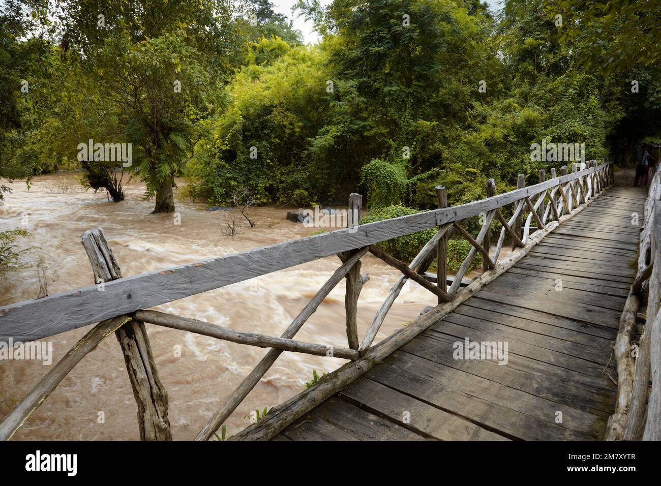Laos. Siphandon. Wooden bridge over the Mekong river Stock Photo - Alamy