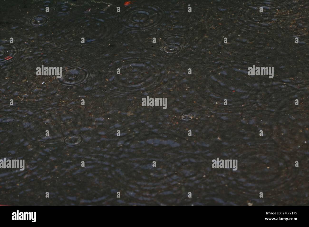 A dark, dirty lake with heavy raindrops creating huge ripple patterns ...