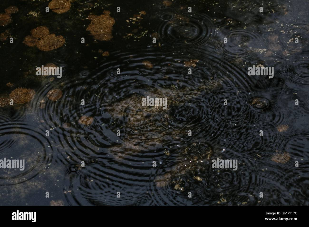 A dark, dirty lake with heavy raindrops creating huge ripple patterns ...