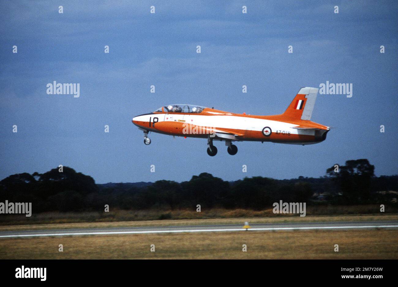 A left side view of a Royal Australian Air Force Macchi jet trainer ...