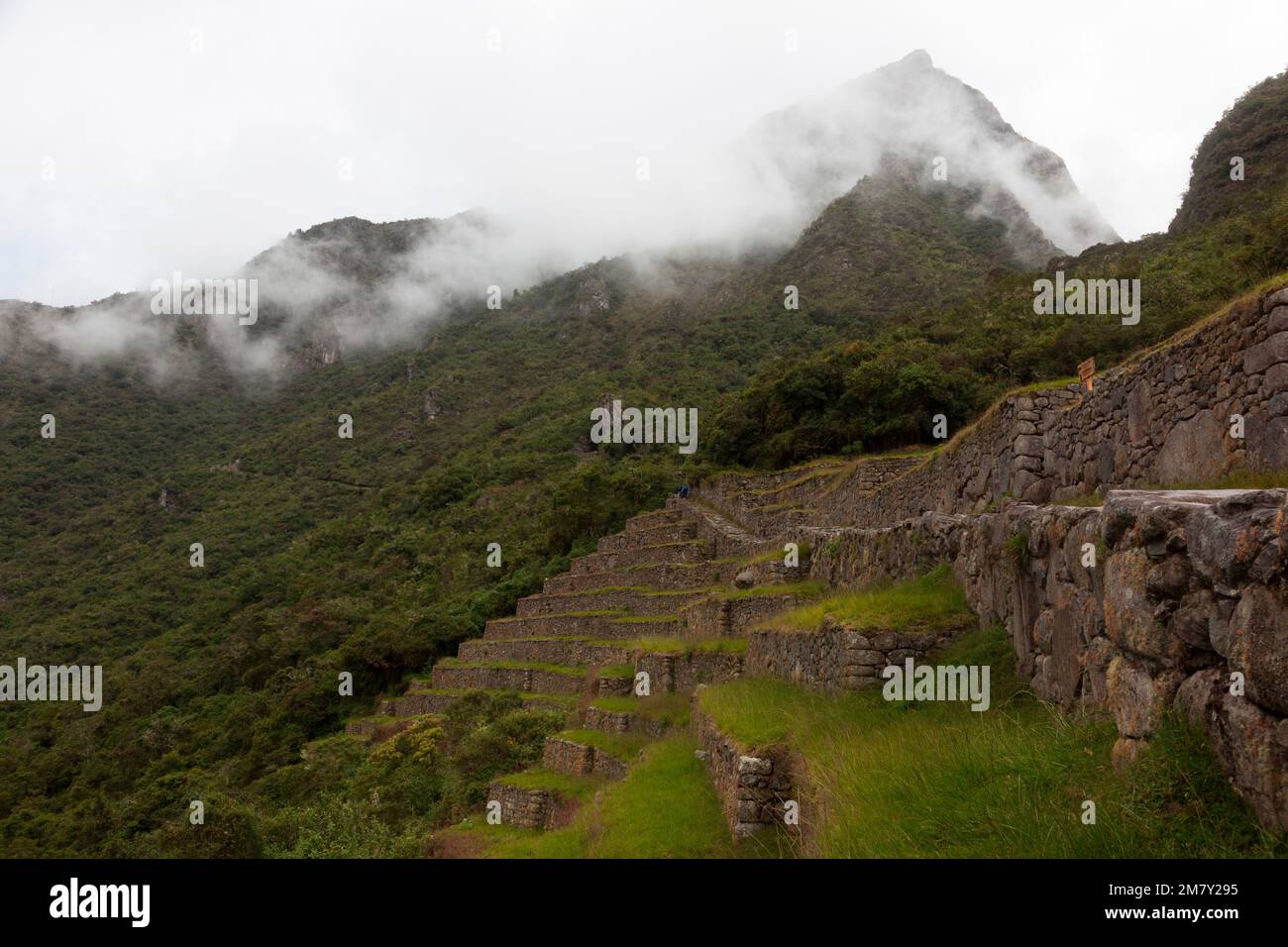Spiritual morning mist rises over Inca head mountain at Machu Picchu ...