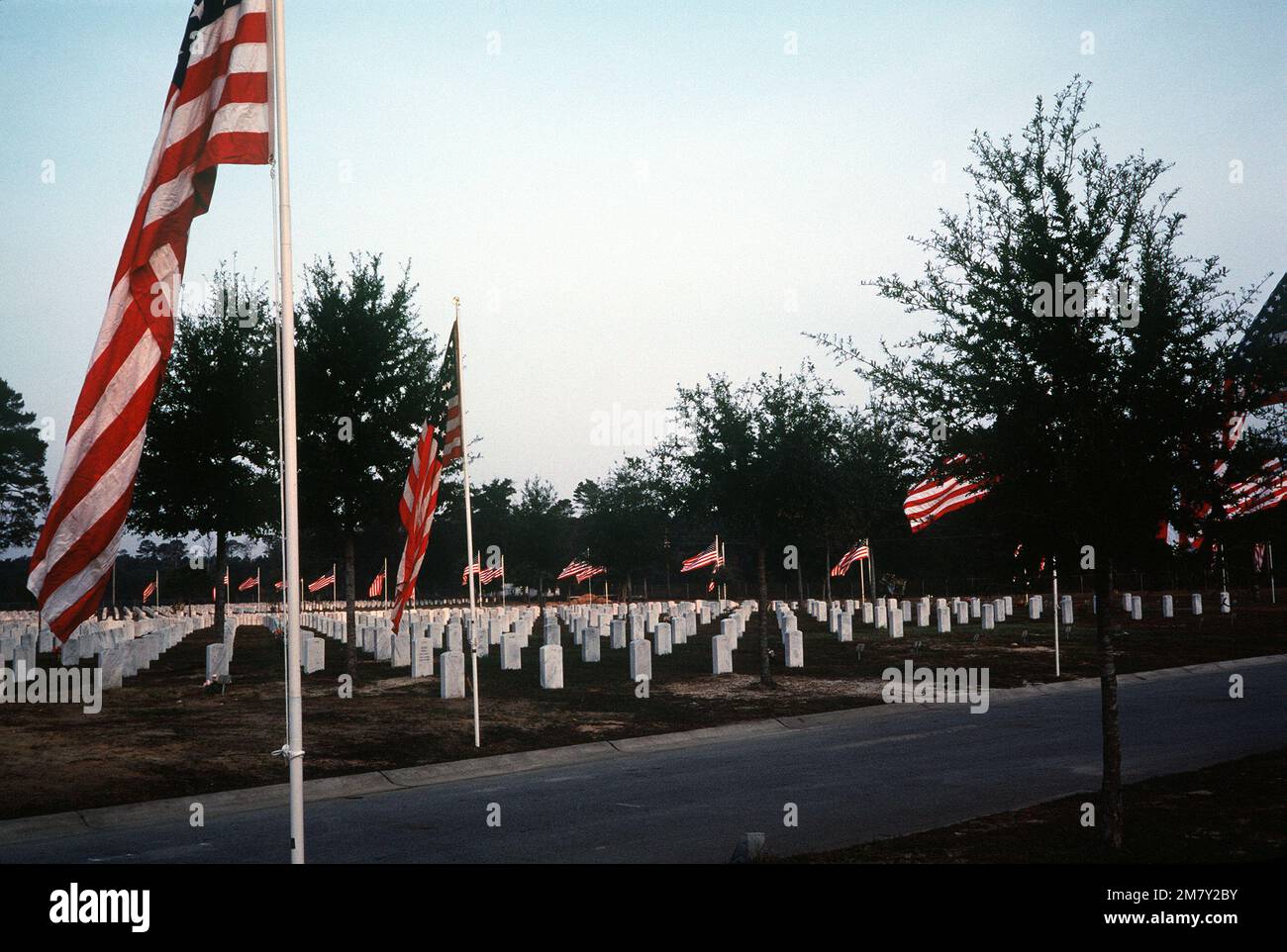 A view of the flag filled Barrancas National Cemetery on Veterans Day ...