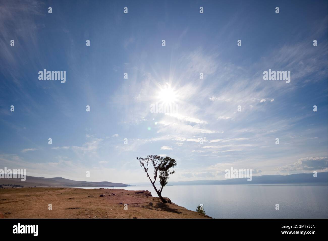 Shamanic tree hi-res stock photography and images - Alamy