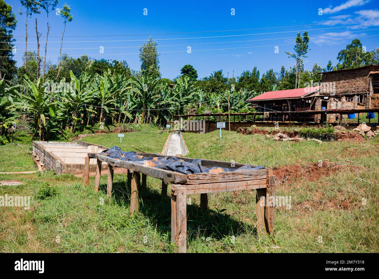 Muranga Coffee processing Industry structures exteriors landscapes in ...