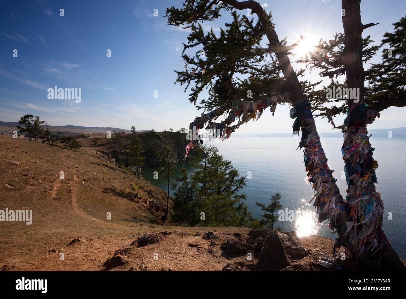 Shaman tree in Olkhon Island Stock Photo - Alamy