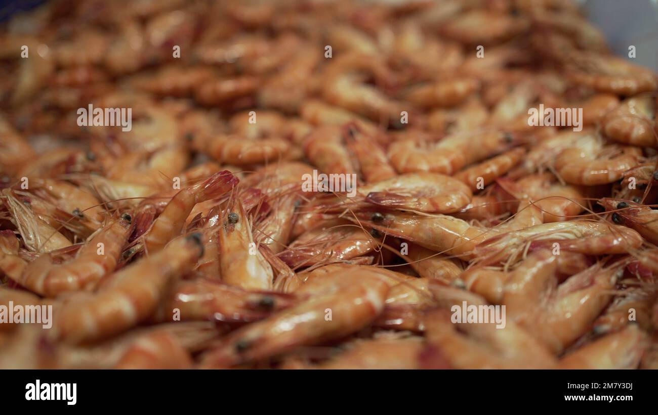 Shrimps on display at food market. Seafood sale Stock Photo - Alamy