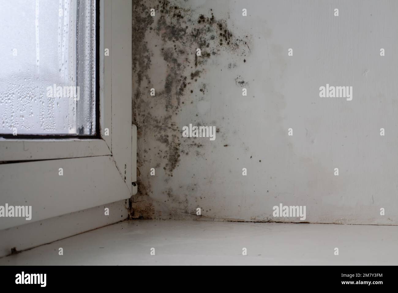 The window is covered with mold in the middle of the house. Strong ...