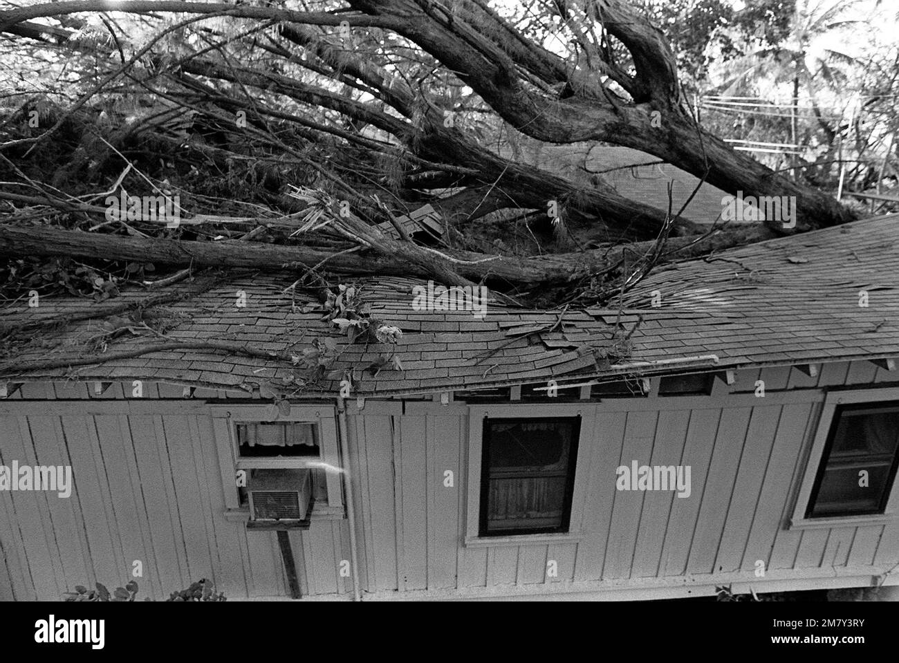 Hi wheeler hi-res stock photography and images - Alamy