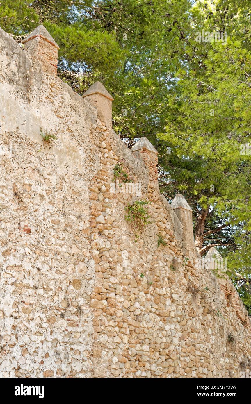 A stone wall and a tree, Spain, Provinze of Valencia, City of Denia ...