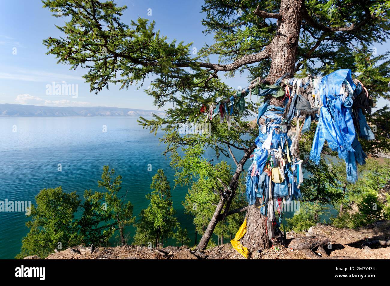 shamanic tree with the bottom of Lake Baikal Stock Photo - Alamy