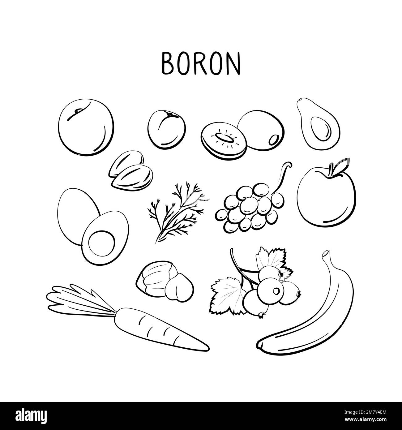 Boron-containing food. Groups of healthy products containing vitamins ...