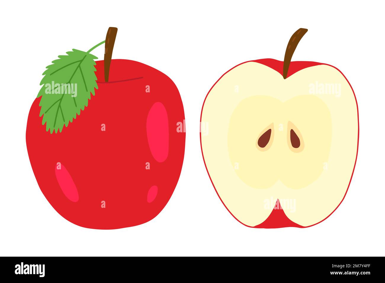 Section line Stock Vector Images - Alamy