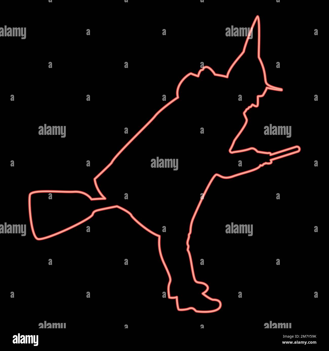 Neon fairy Wizard Witch flying on broom Subject for Halloween concept ...