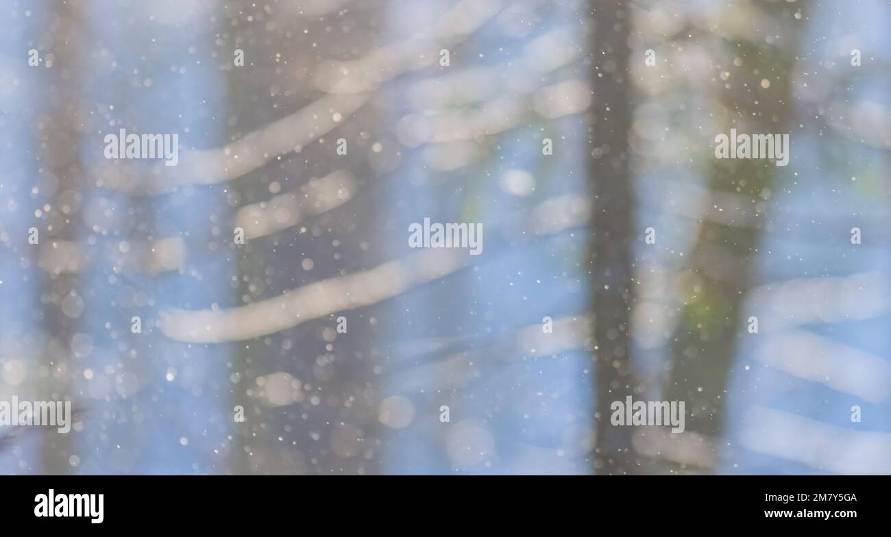 Winter landscape with falling snow, defocused background Stock Photo ...