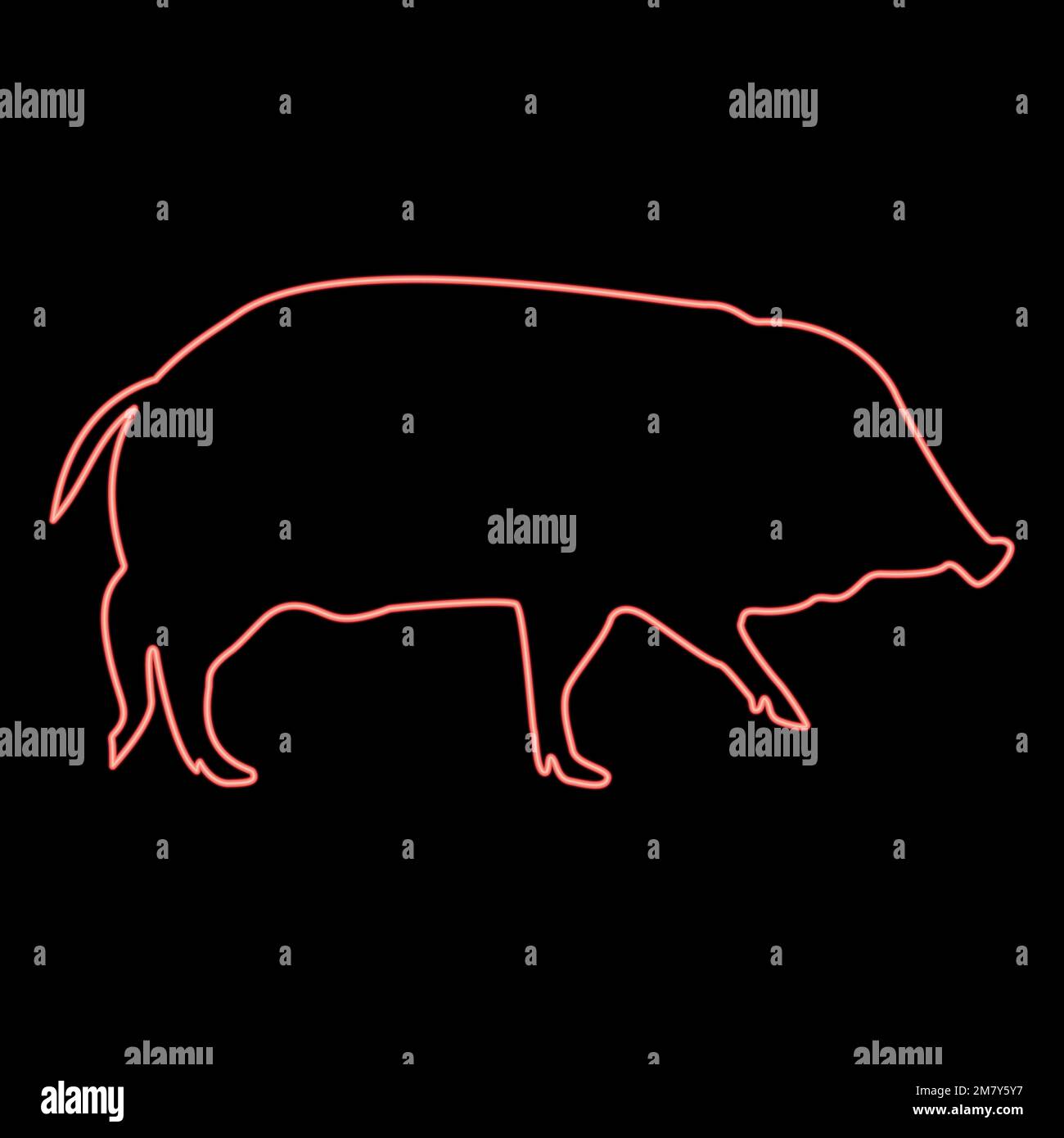 Neon wild boar Hog wart Swine Suidae Sus Tusker Scrofa red color vector ...