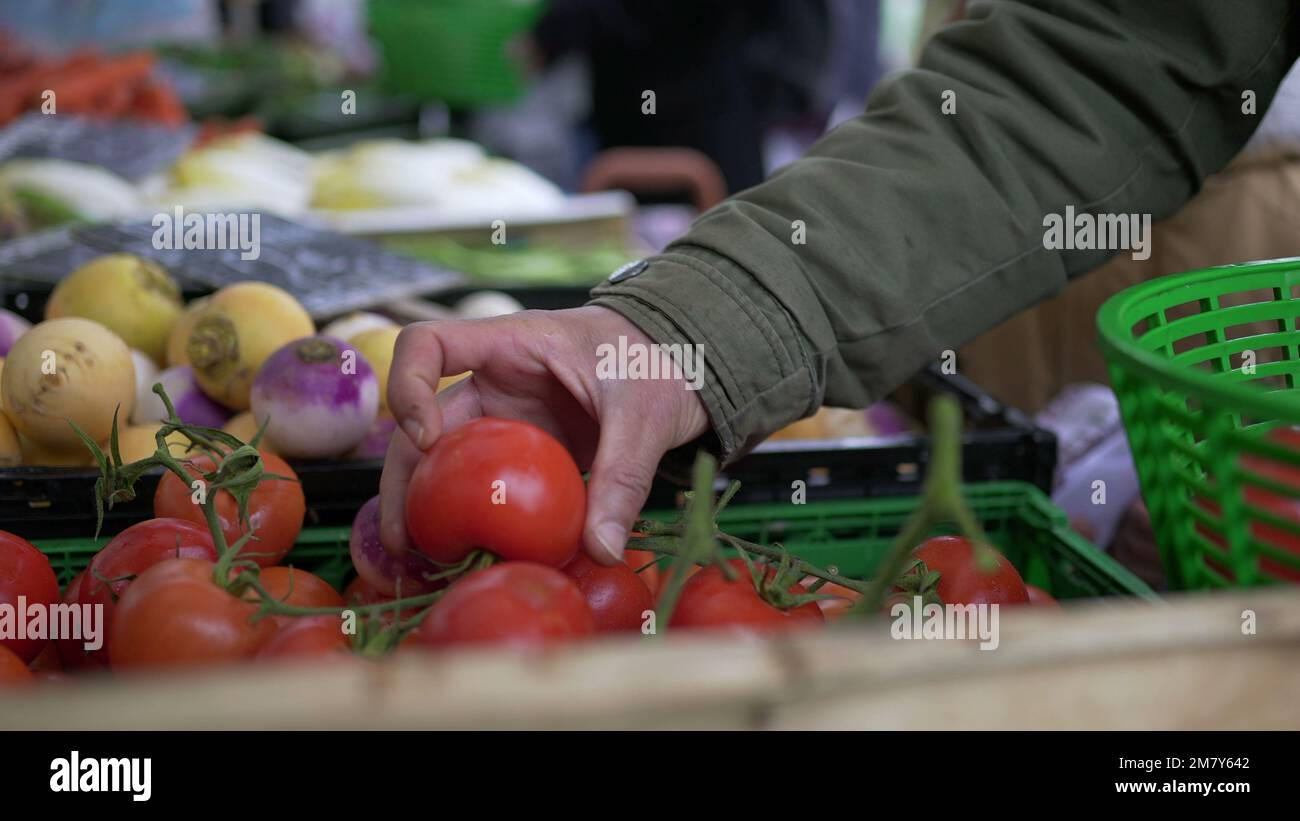 Hand picking fresh tomatoes at street food market Stock Photo - Alamy