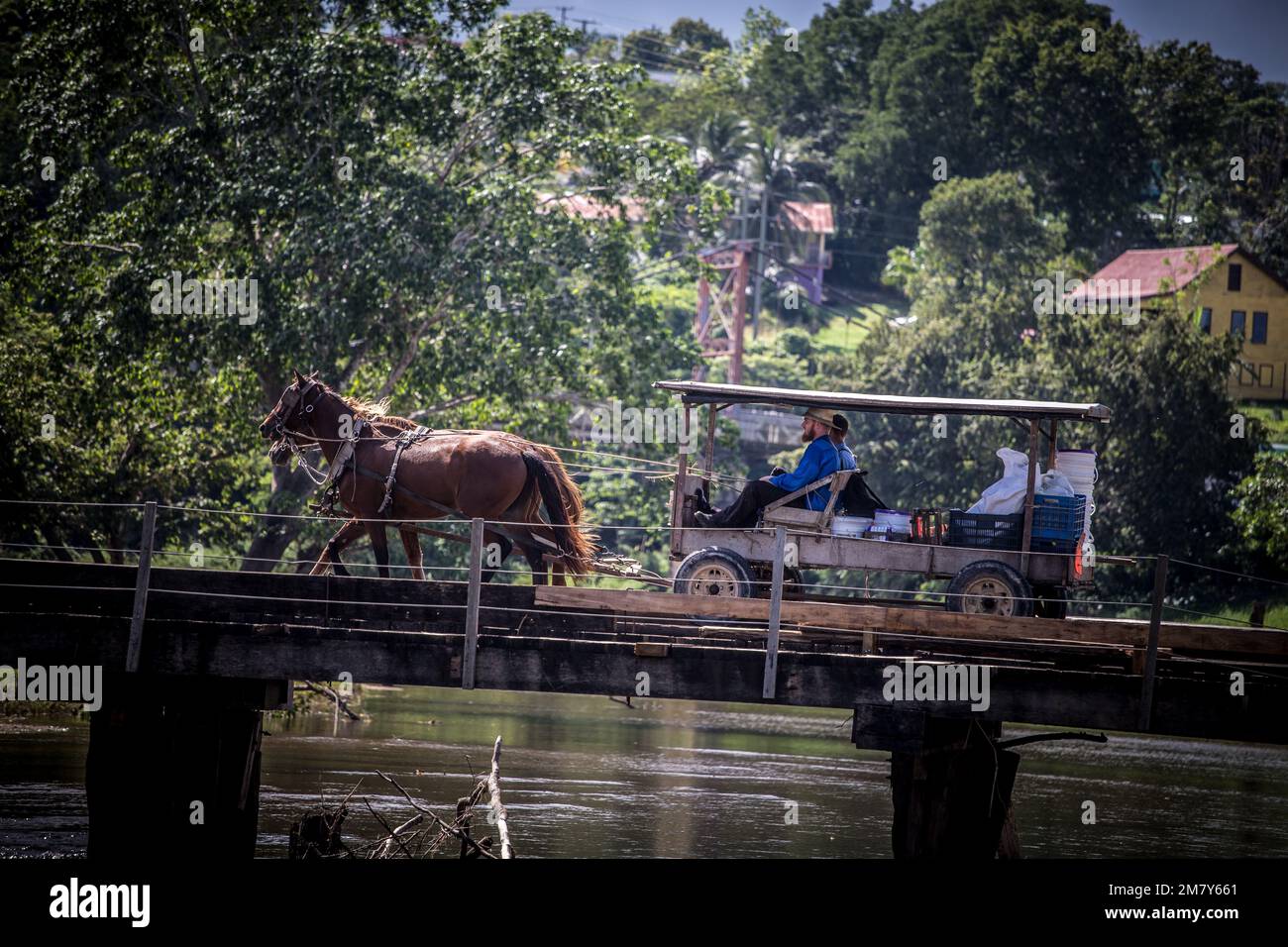 Mennonite belize hi-res stock photography and images - Alamy