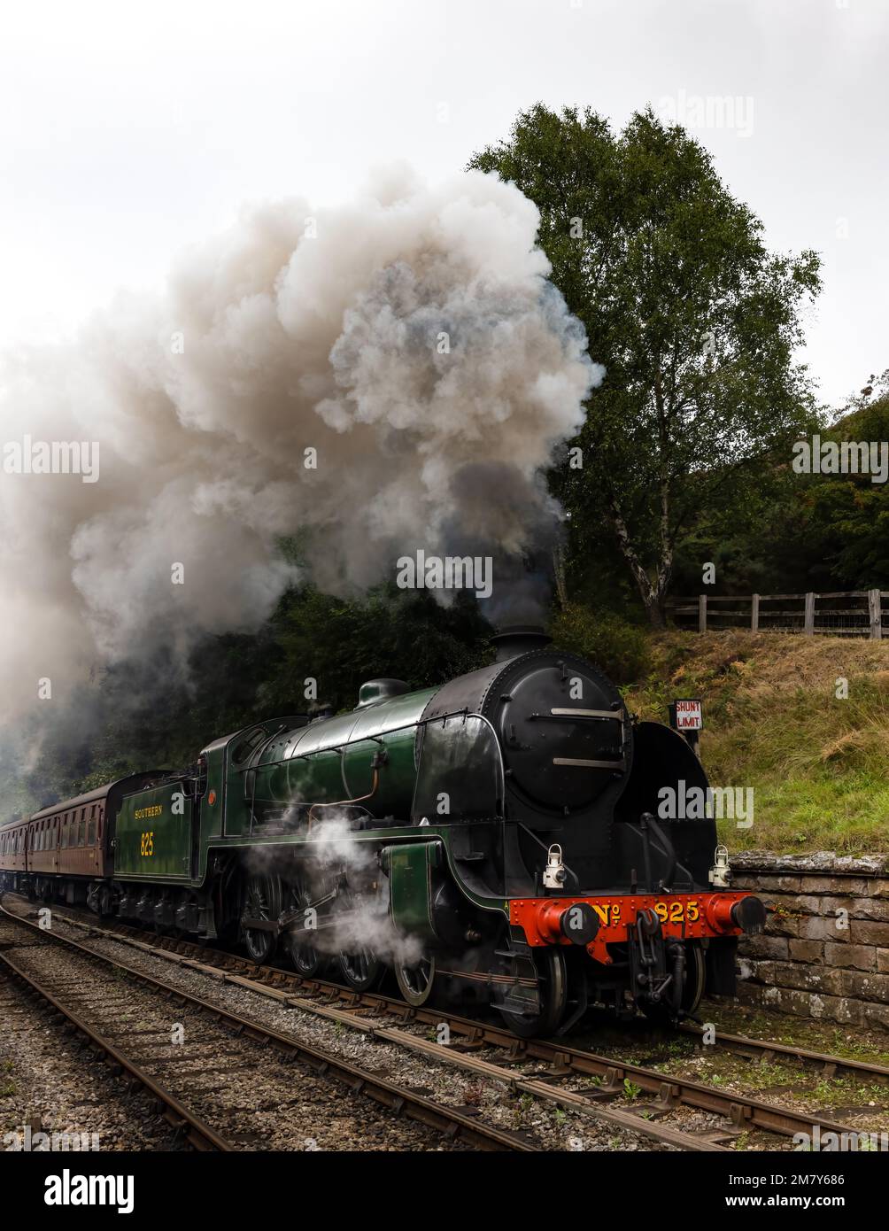 S15 at Goathland station Stock Photo - Alamy
