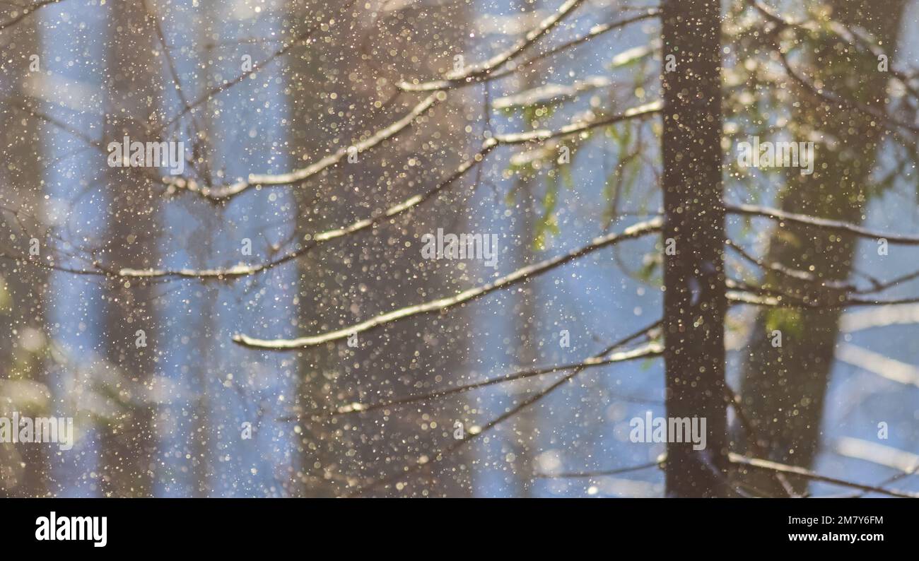 Winter landscape with falling snow, defocused background Stock Photo ...