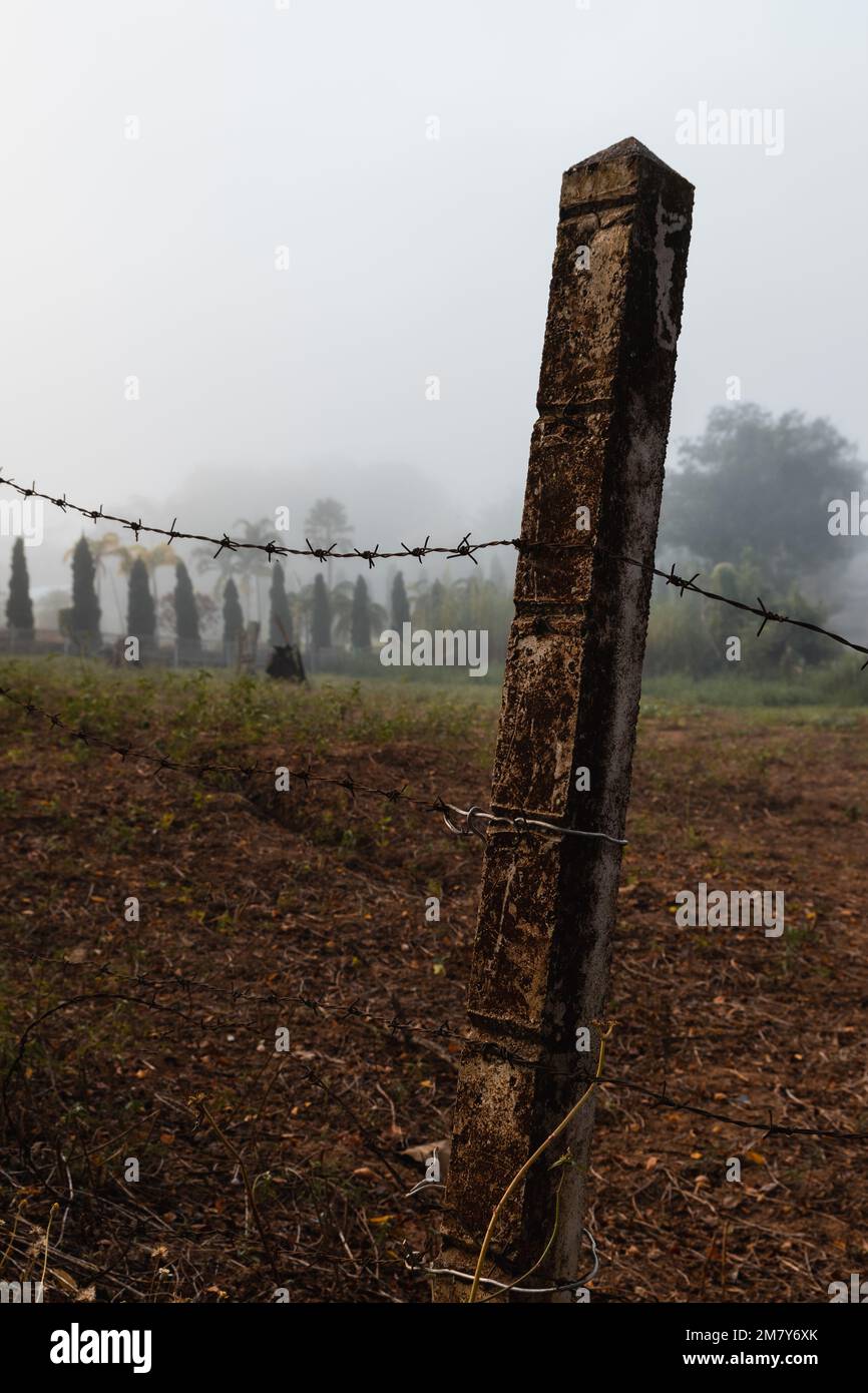 Barbed wire around the field in misty morning, close up Stock Photo - Alamy