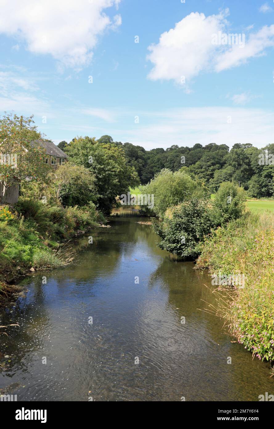 The River Darwen flowing through Hoghton Bottoms Lancashire England ...