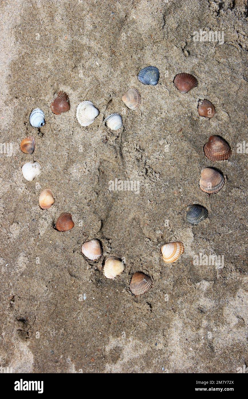 a heart of shells in the sand on the beach Stock Photo - Alamy