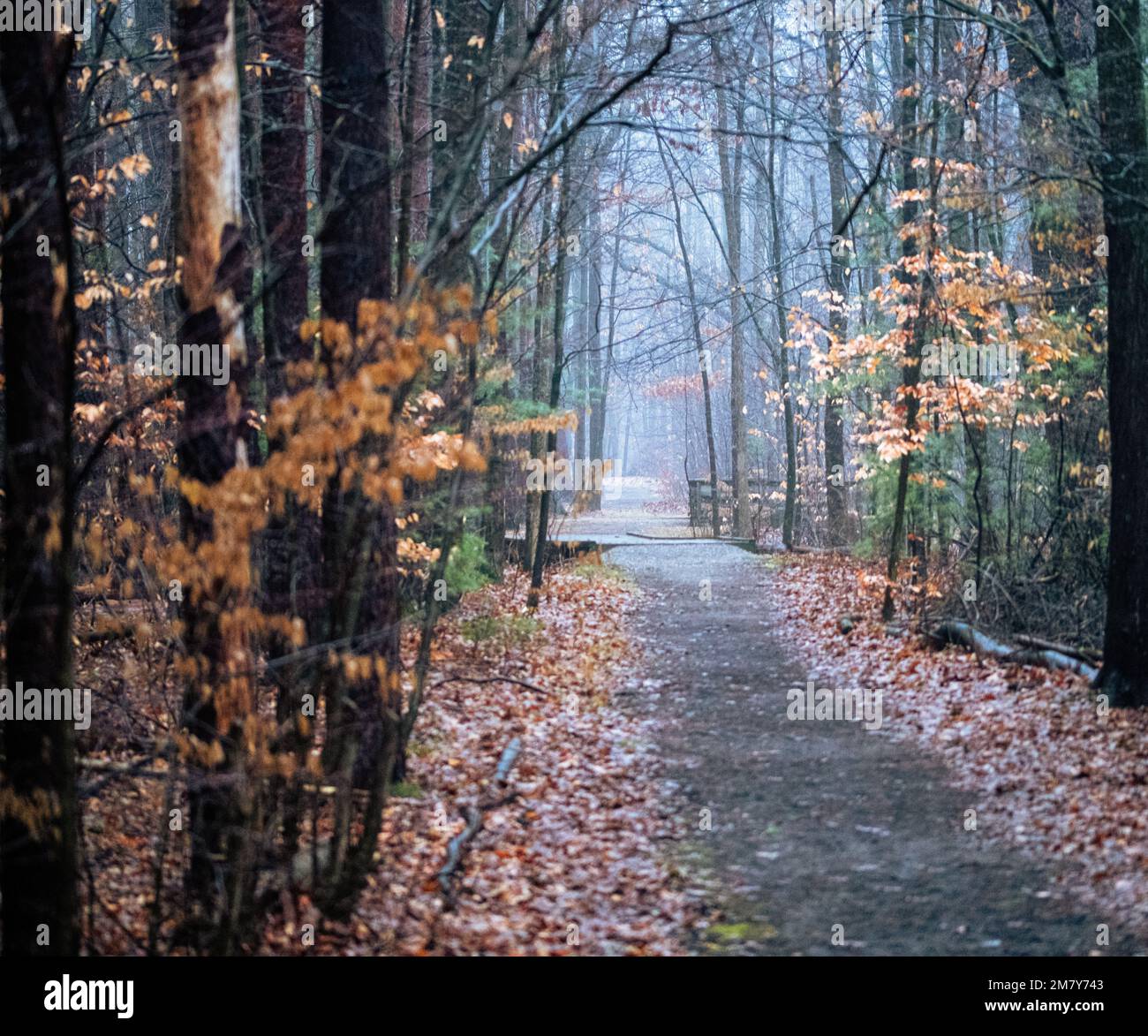 Empty paved walking path hi-res stock photography and images - Alamy
