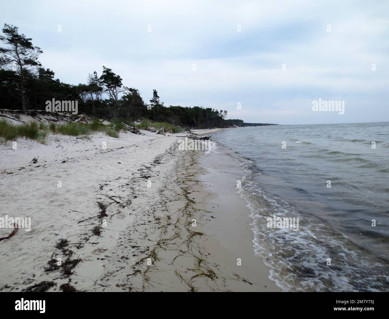beautiful wild stretch of beach Stock Photo - Alamy