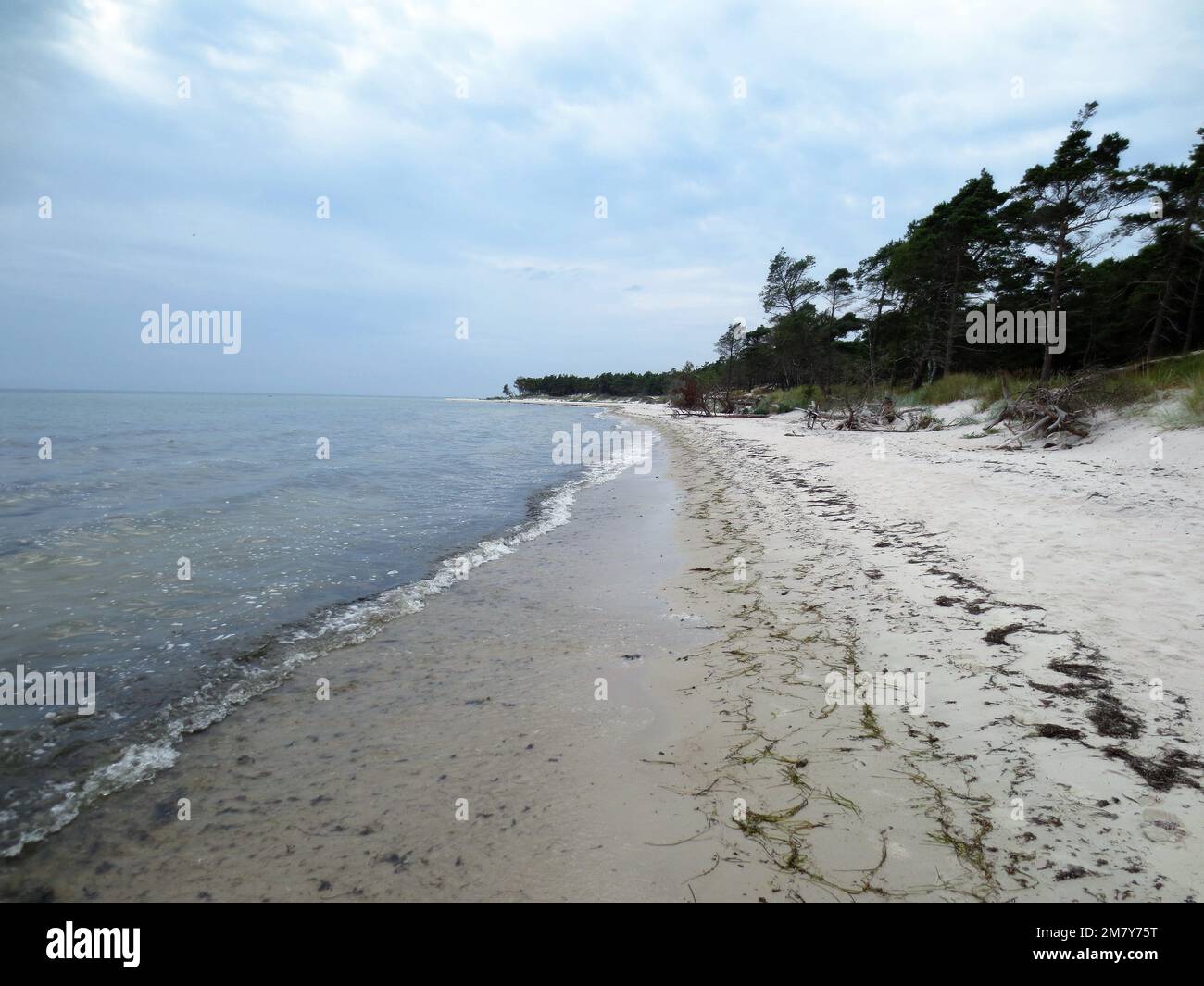 beautiful wild stretch of beach Stock Photo - Alamy