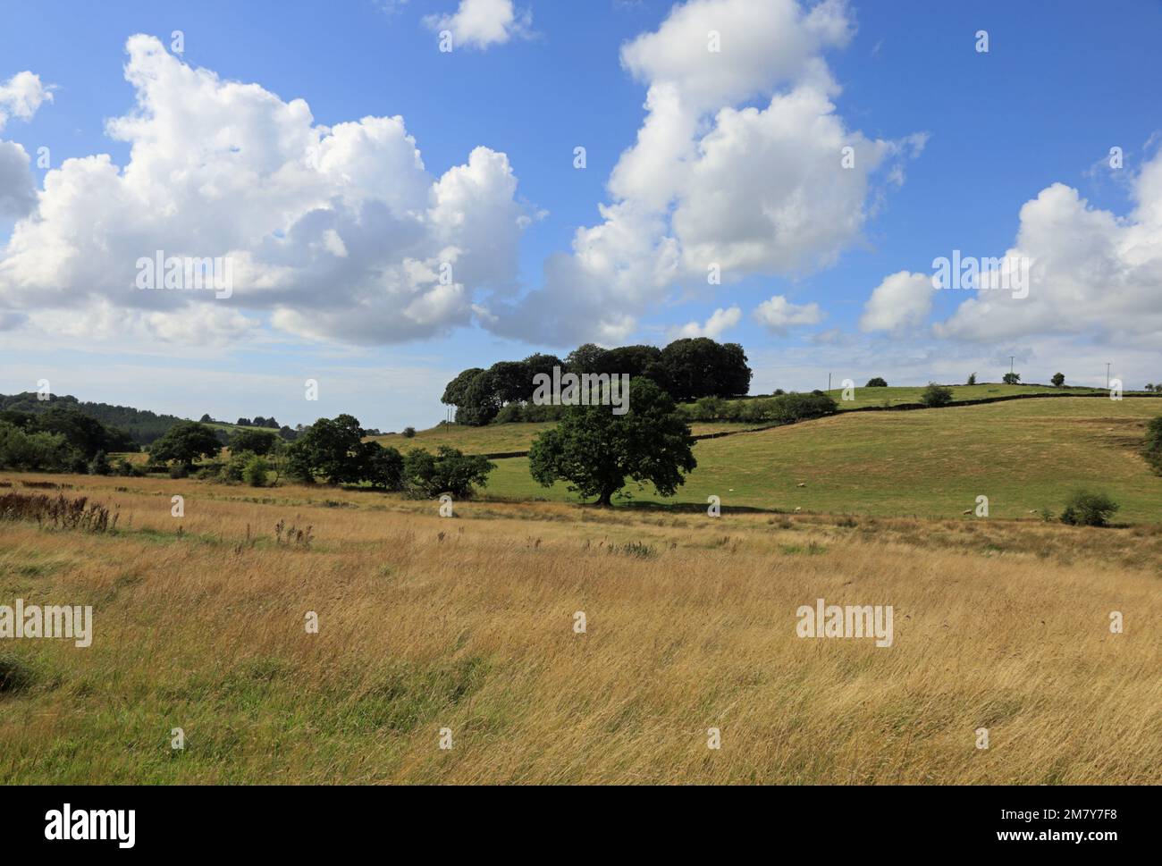 Throstle Nest Brow between the village of Pleasington and Hoghton ...