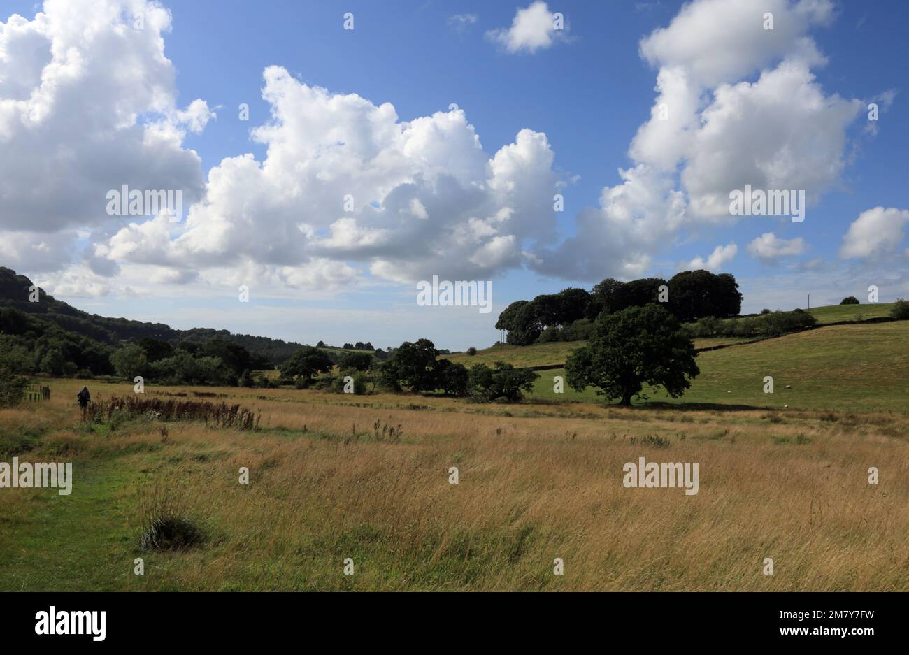 Throstle Nest Brow between the village of Pleasington and Hoghton ...
