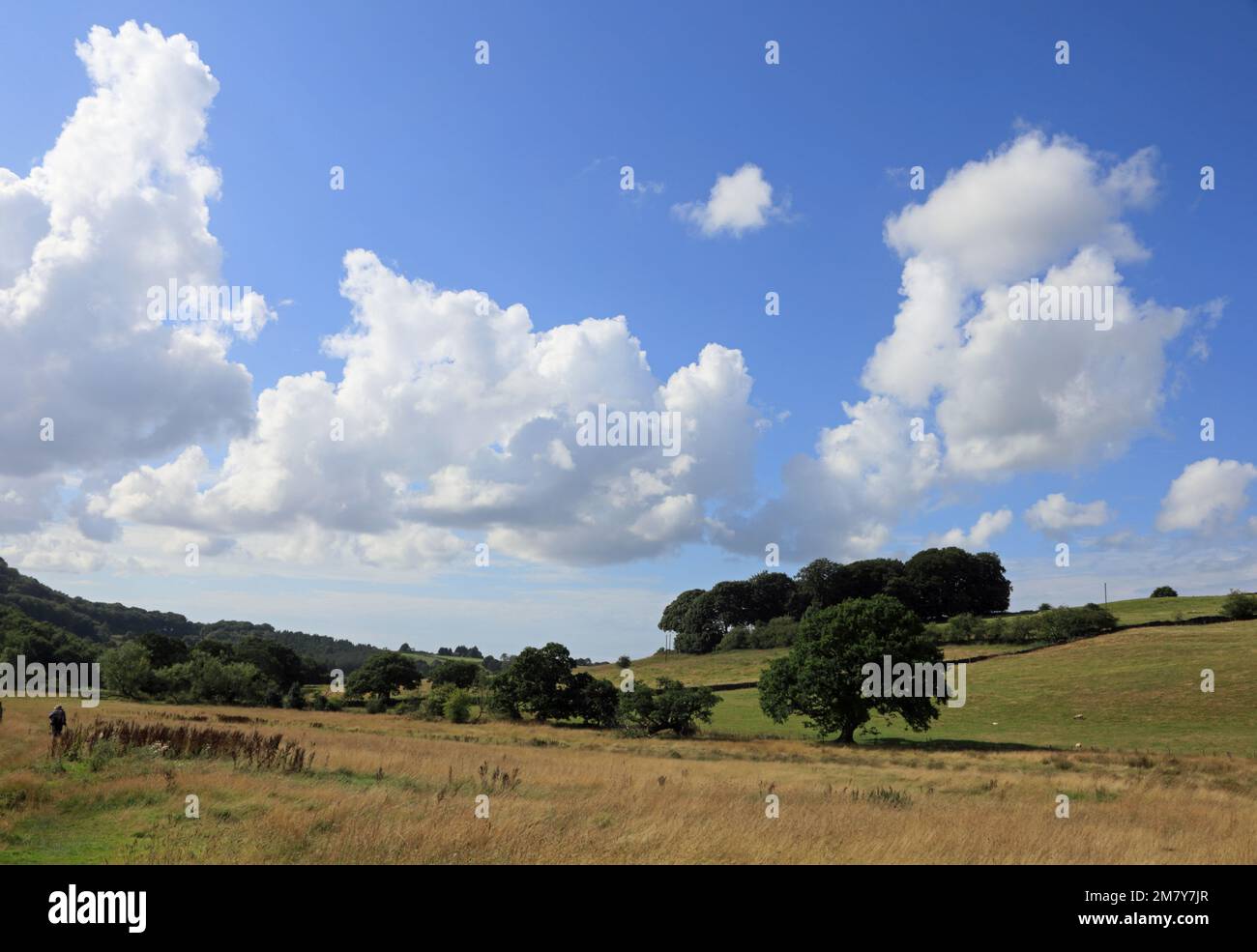 Throstle Nest Brow between the village of Pleasington and Hoghton ...