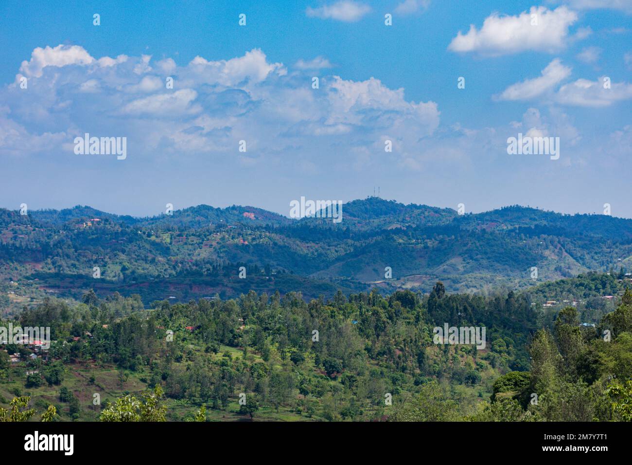 Kenyan Landscapes Plants Vegettions Fields Meadows Rolling Hills ...