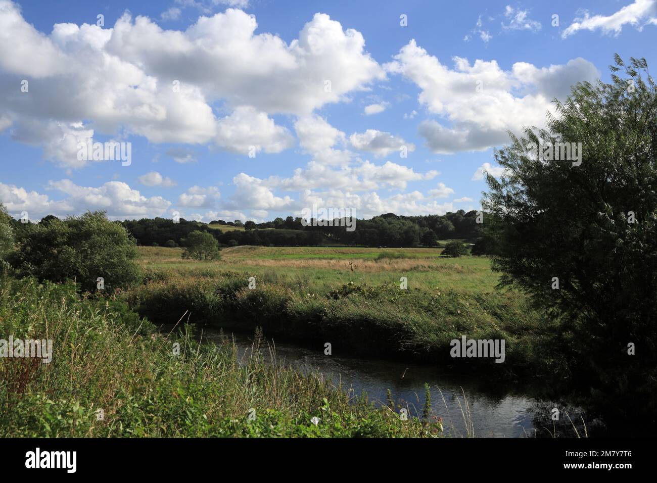 The River Darwen flowing through Hoghton Bottoms Lancashire England ...