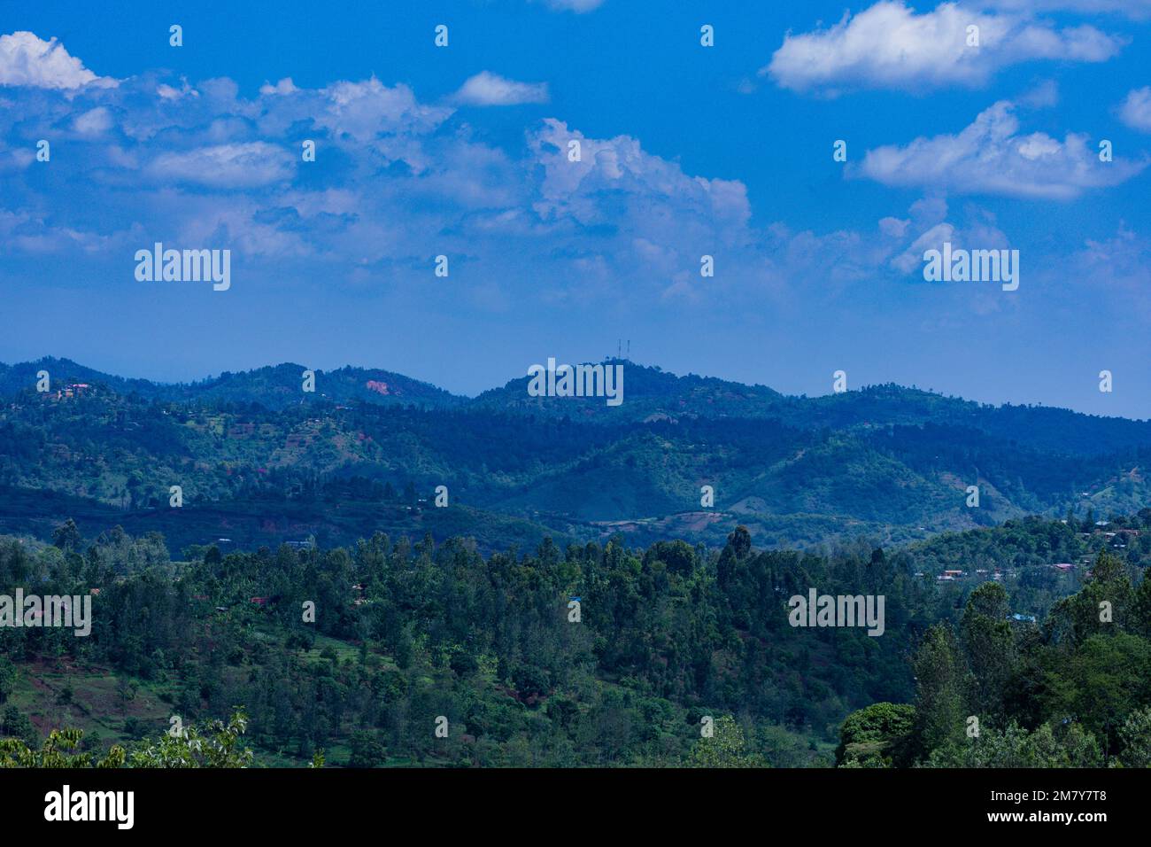 Kenyan Landscapes Plants Vegettions Fields Meadows Rolling Hills ...
