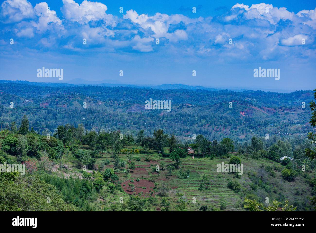Kenyan Landscapes Plants Vegettions Fields Meadows Rolling Hills ...