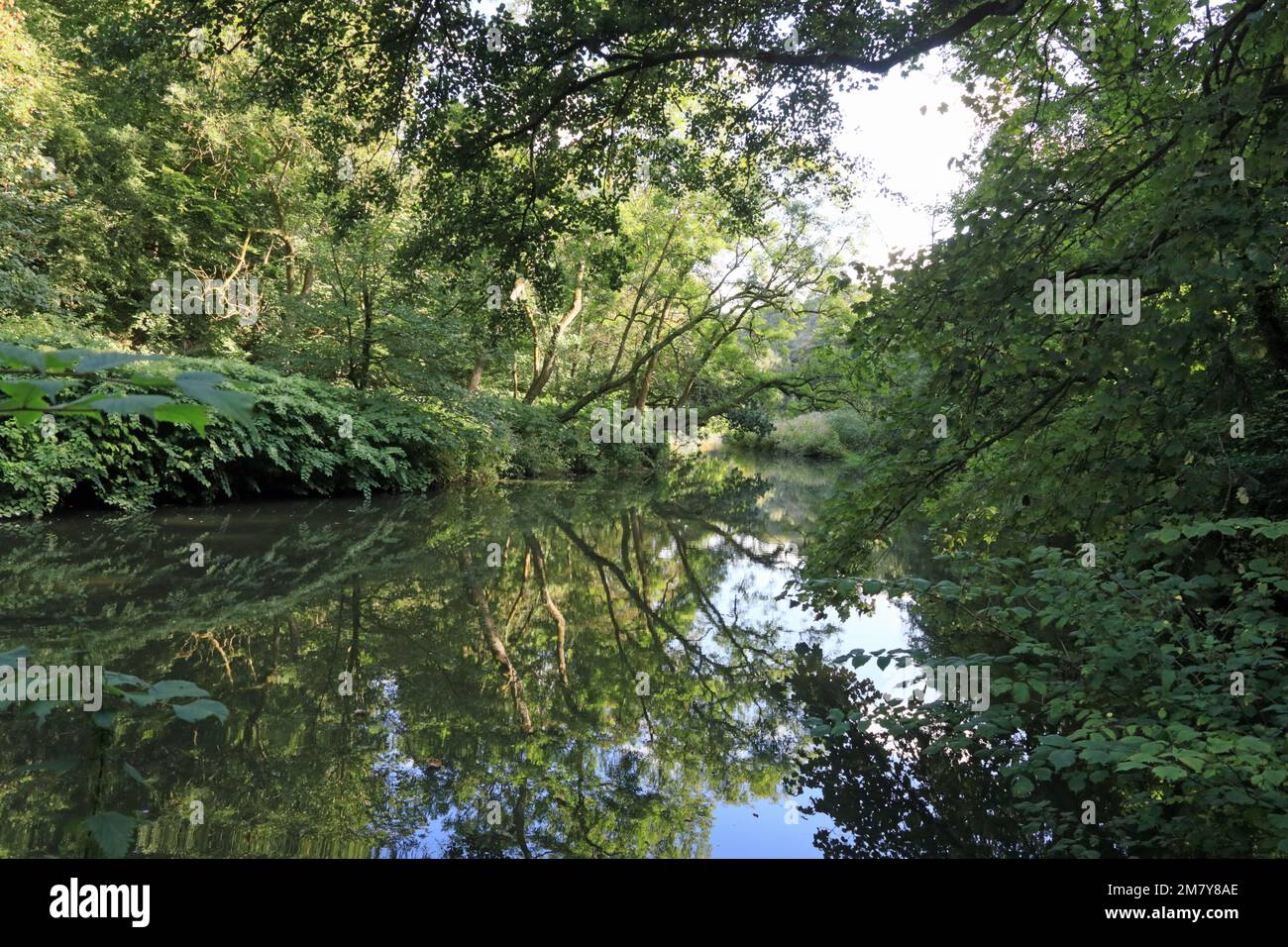 Valley of the river darwen hi-res stock photography and images - Alamy