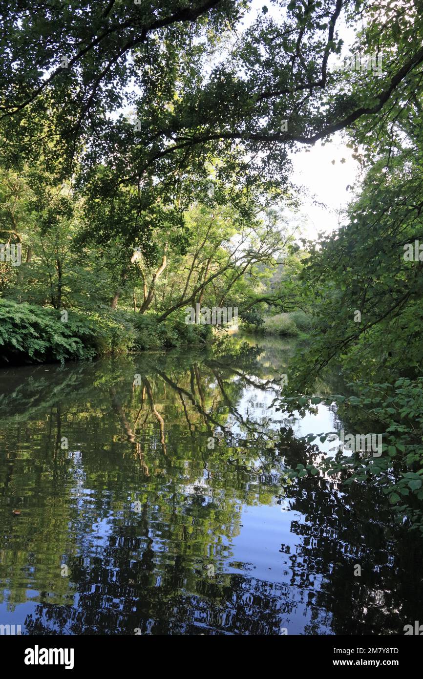 The River Darwen near Hoghton Lancashire England Stock Photo - Alamy