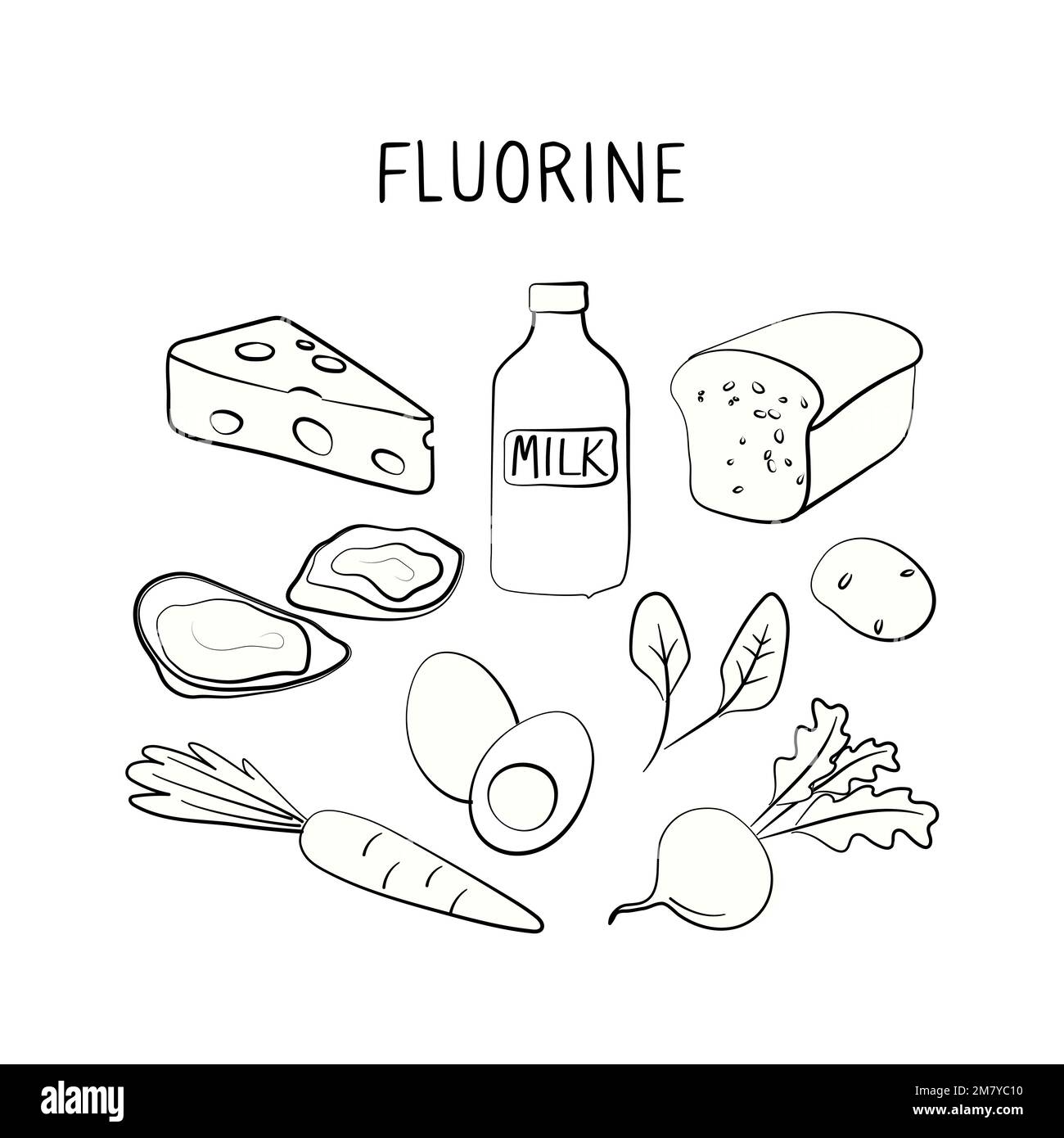 Fluorine-containing food. Groups of healthy products containing ...